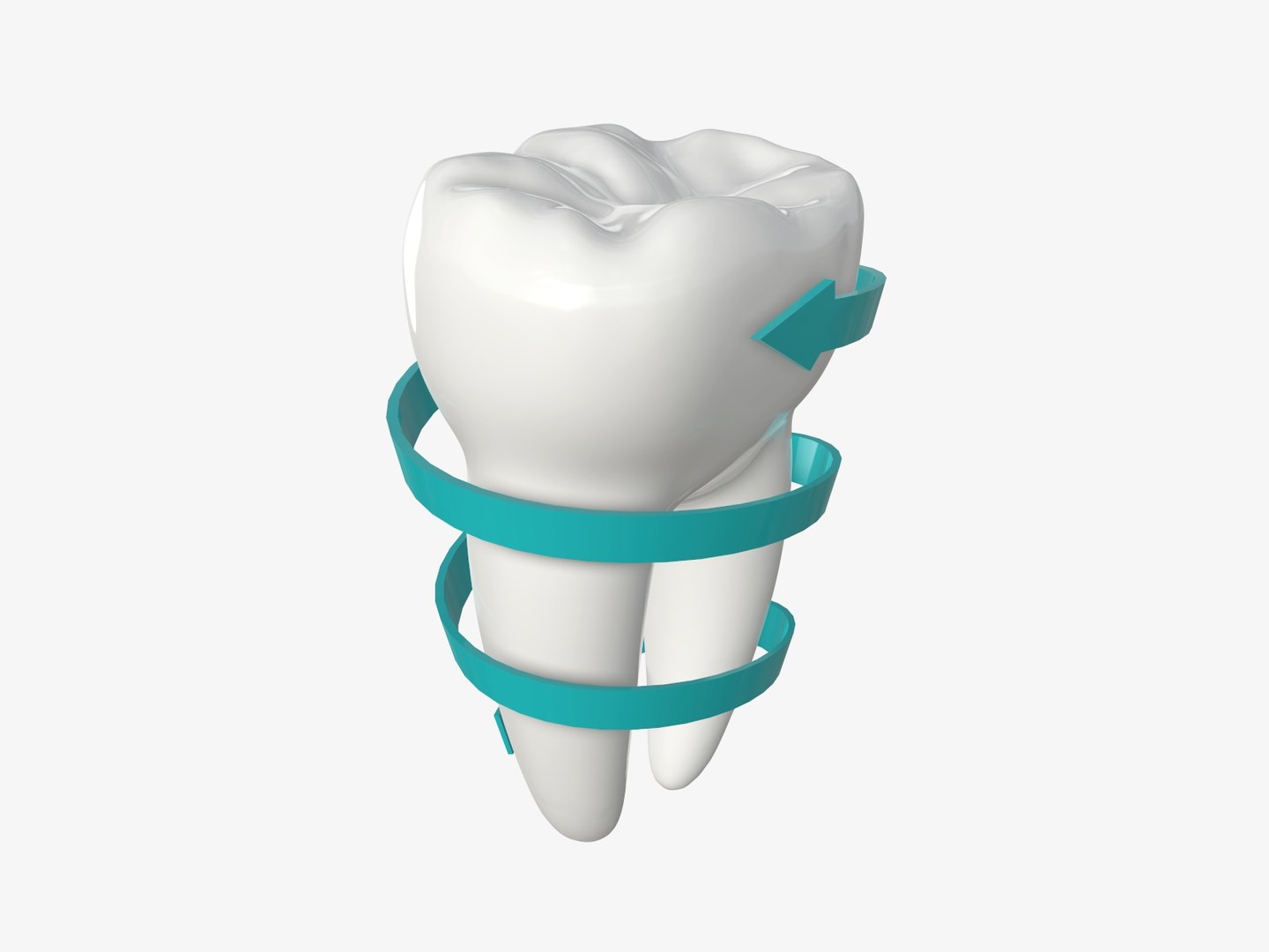 Tooth Molar Arrow 3D Model - TurboSquid 1474482