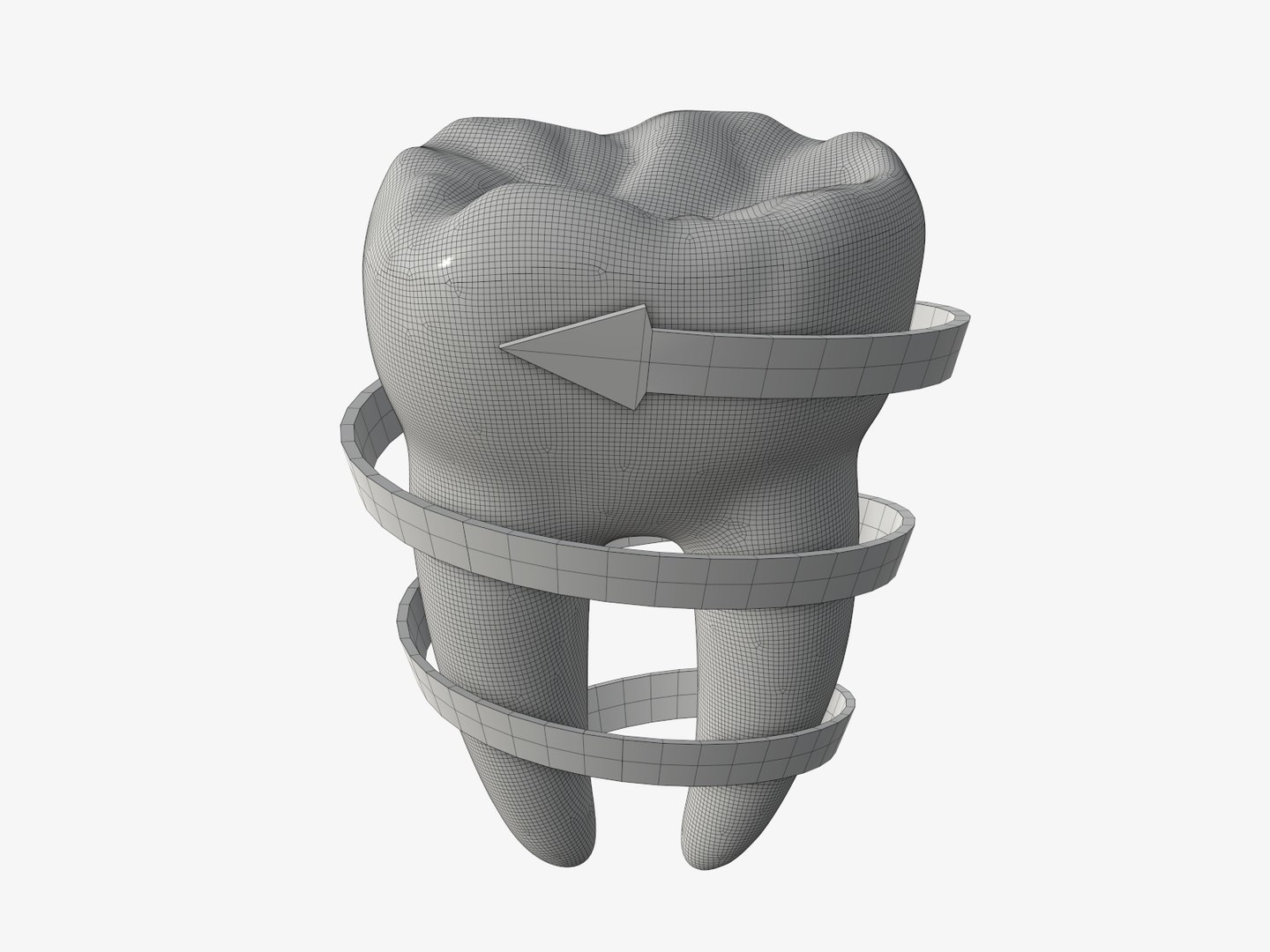 Tooth Molar Arrow 3D Model - TurboSquid 1474482