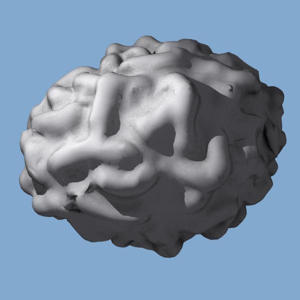 3d smallpox virus