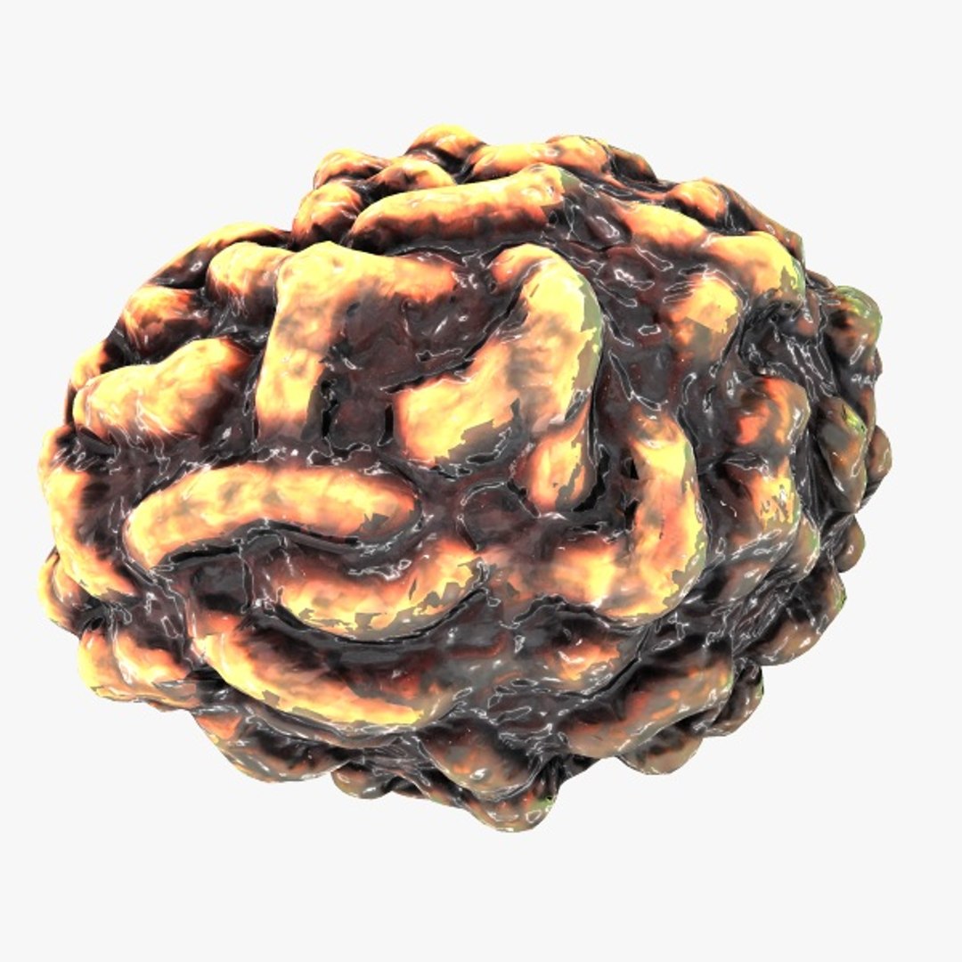 3d Smallpox Virus