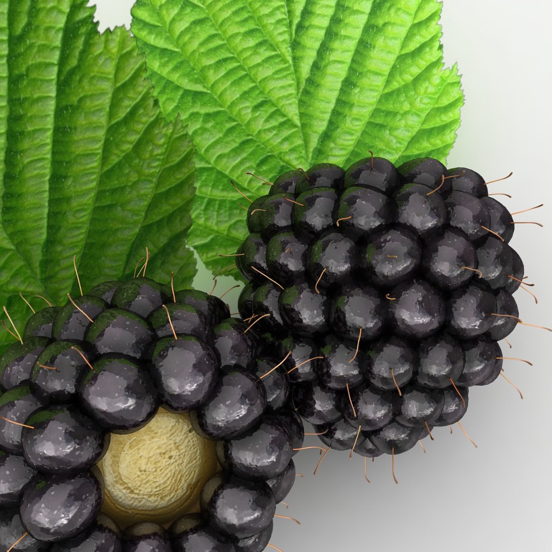 3D Berry Fruit Set - TurboSquid 1214045