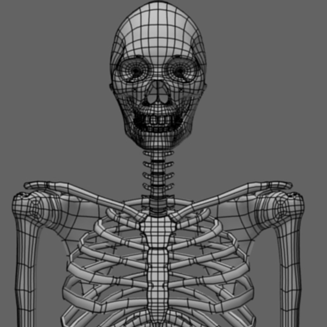 3ds male female skeletons