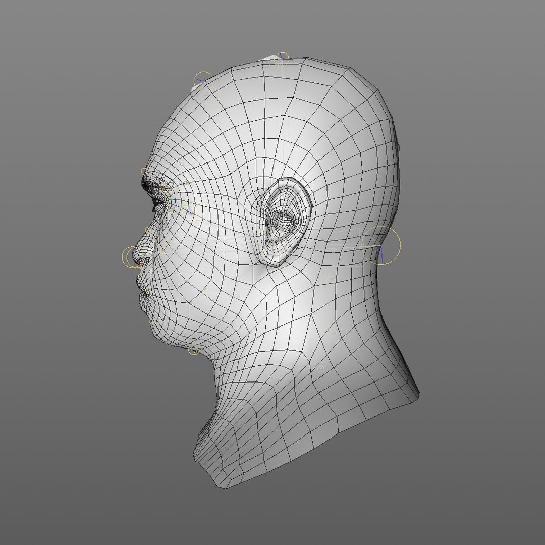 Realistic head base mesh 3D - TurboSquid 1438855