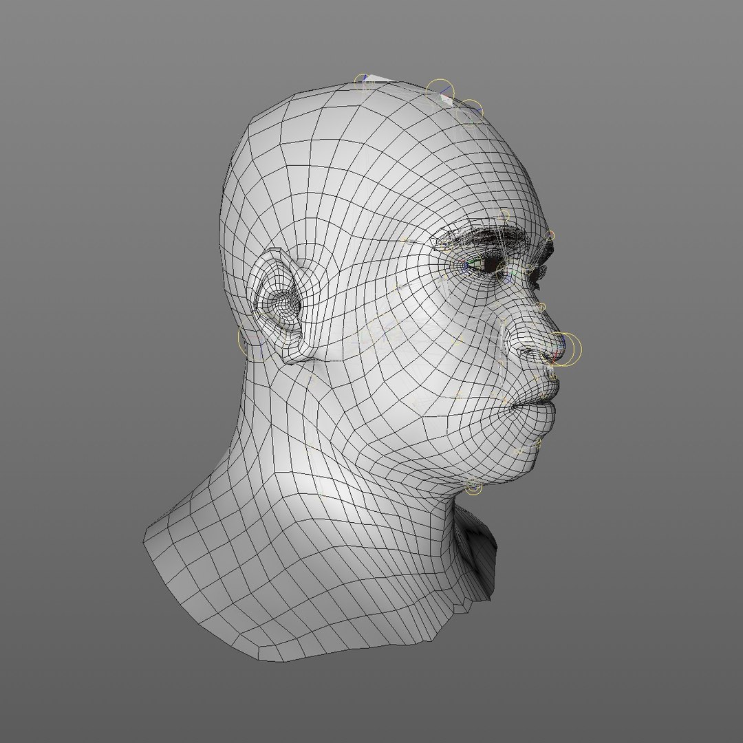 Realistic head base mesh 3D - TurboSquid 1438855