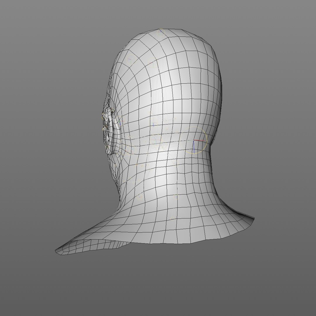 Realistic head base mesh 3D - TurboSquid 1438855