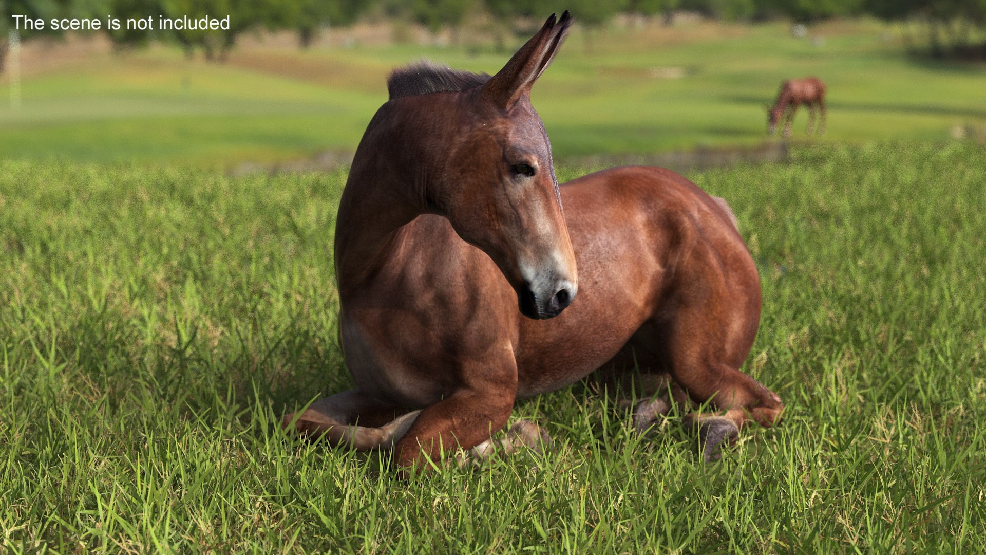 Lying Mule Dark Fur 3D Model - TurboSquid 2280758