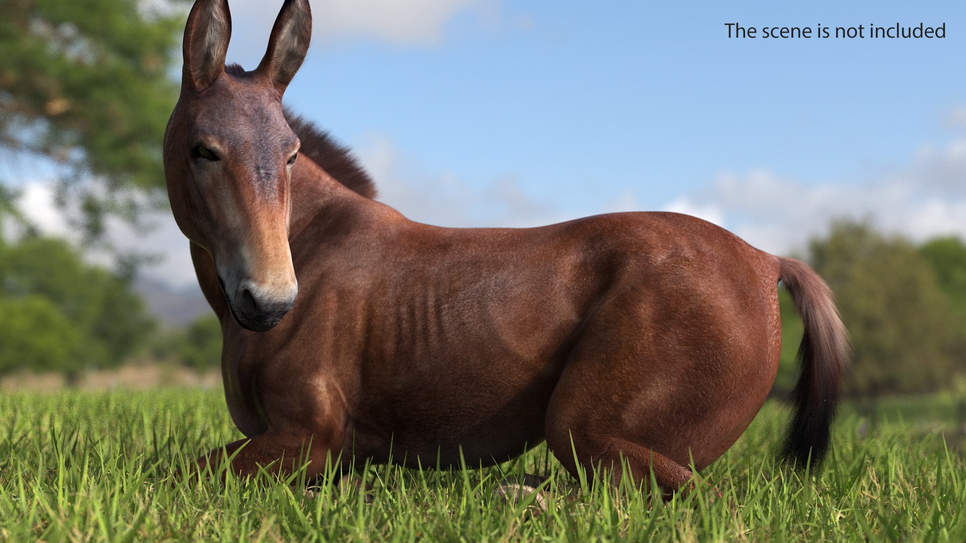 Lying Mule Dark Fur 3D Model - TurboSquid 2280758