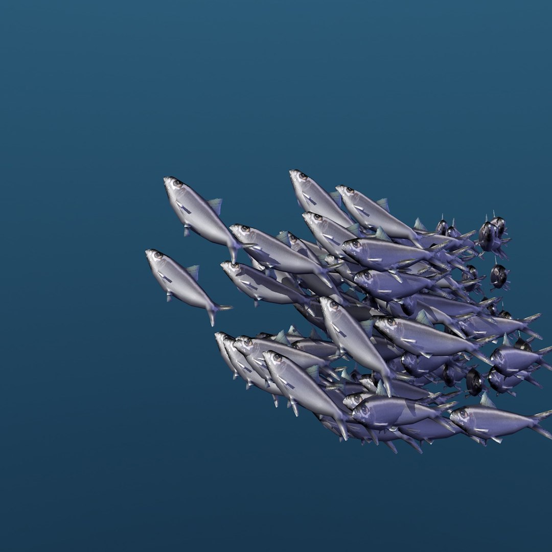 3D school sardine swimming fishes - TurboSquid 1411424