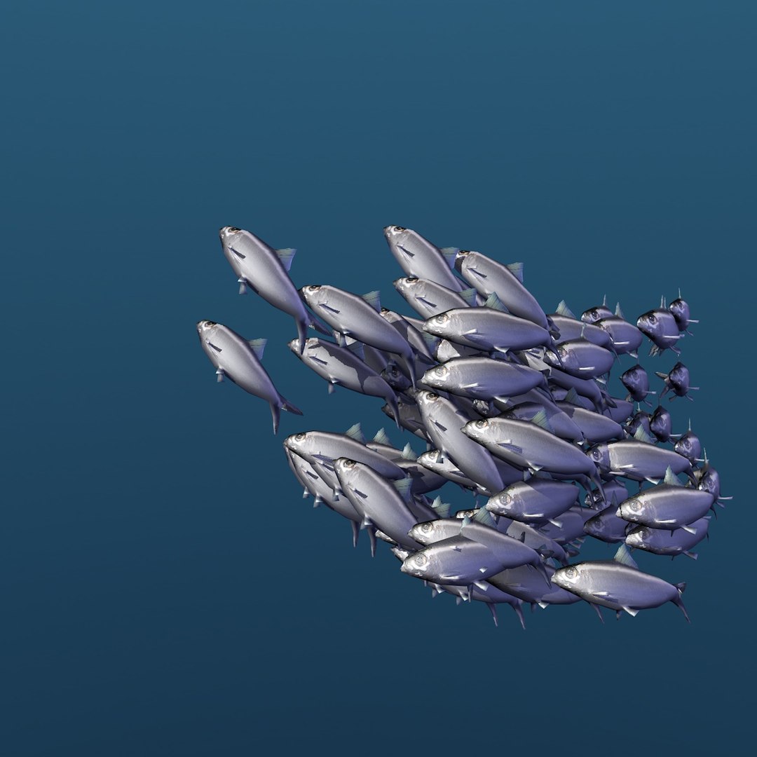 3D school sardine swimming fishes - TurboSquid 1411424