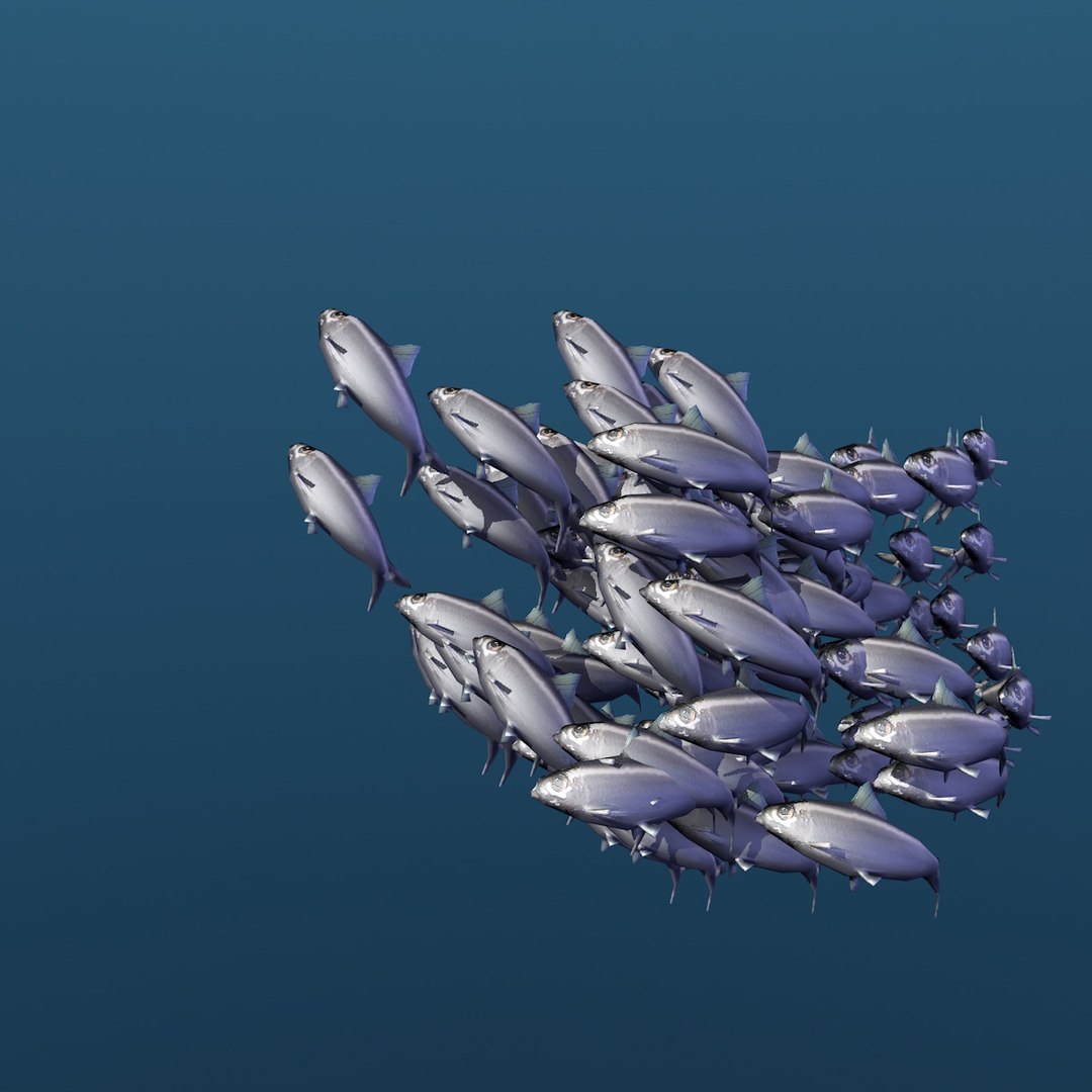 3D school sardine swimming fishes - TurboSquid 1411424