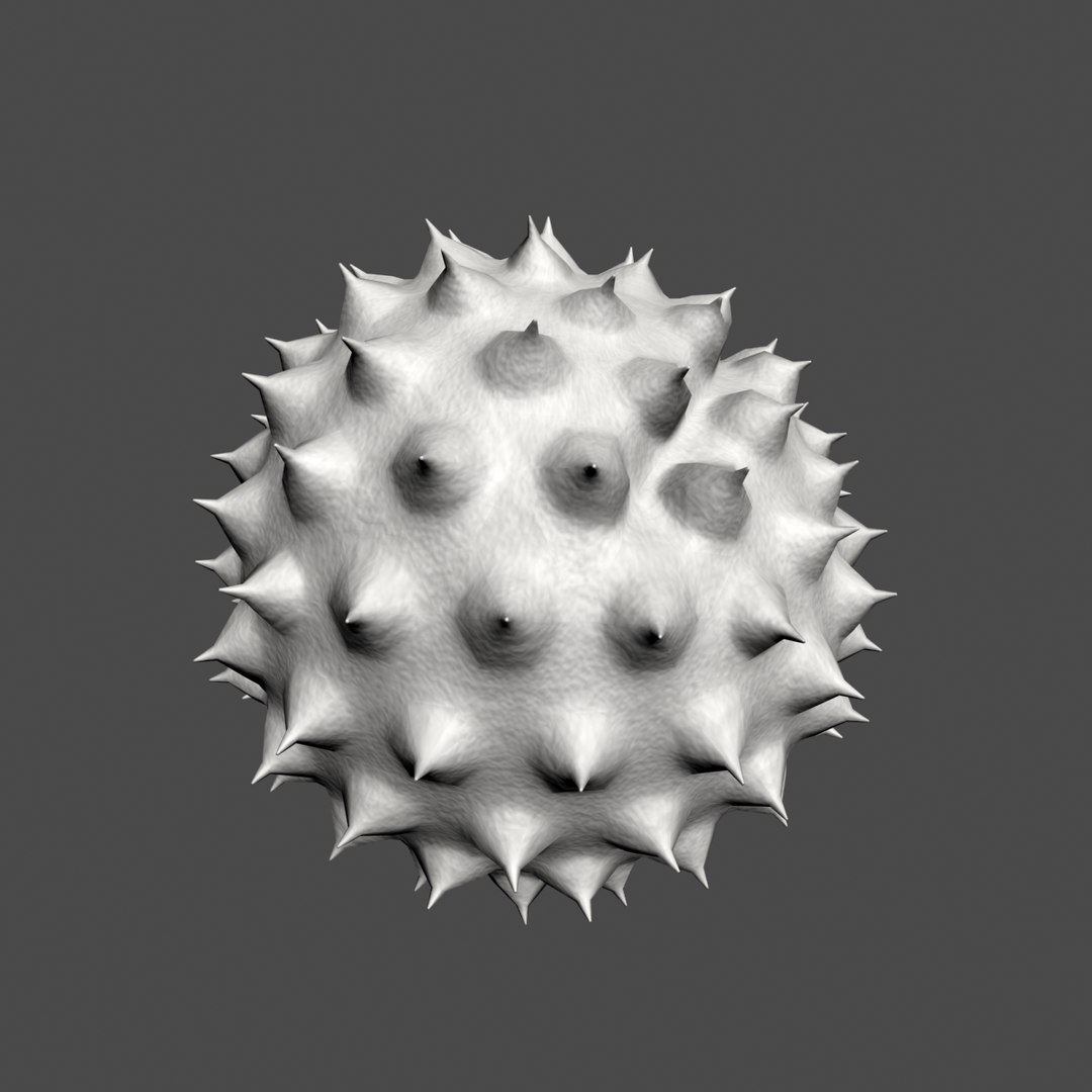 Ragweed pollen 3D - TurboSquid 1236480