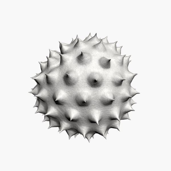 Pollen 3D Models for Download | TurboSquid