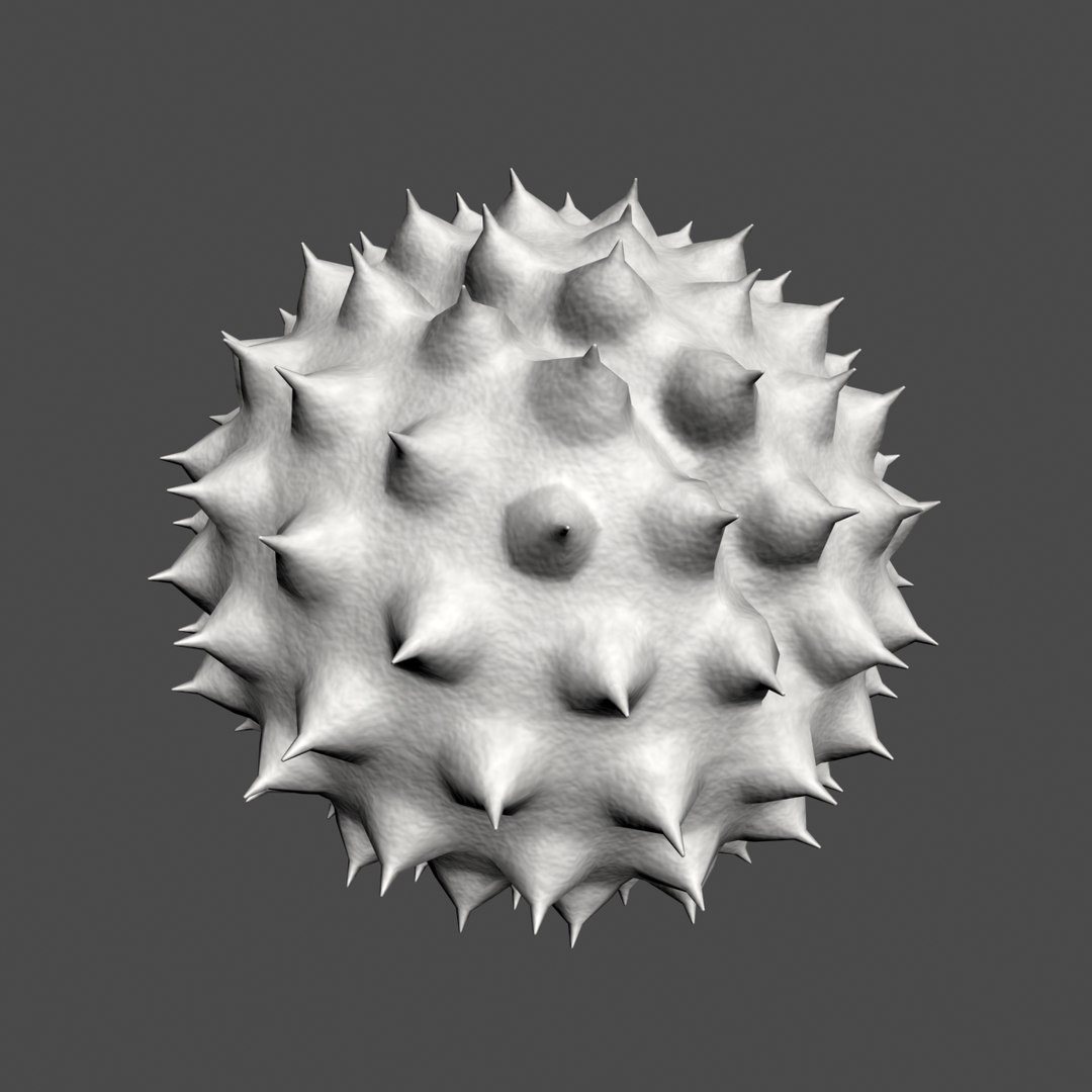 Ragweed pollen 3D - TurboSquid 1236480