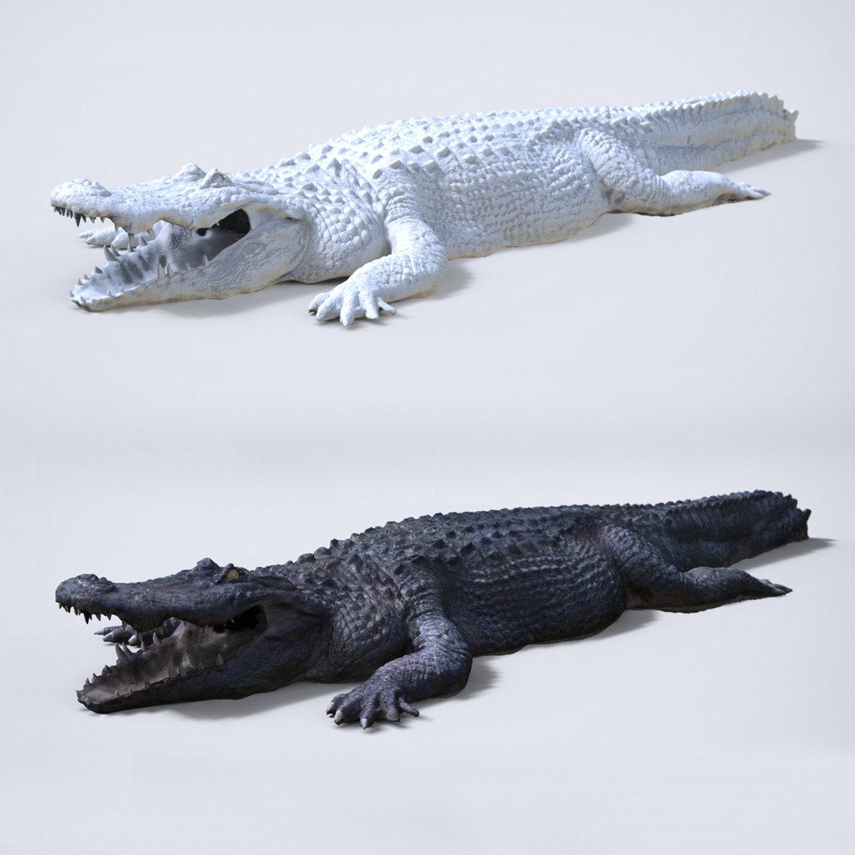3d crocodile animate