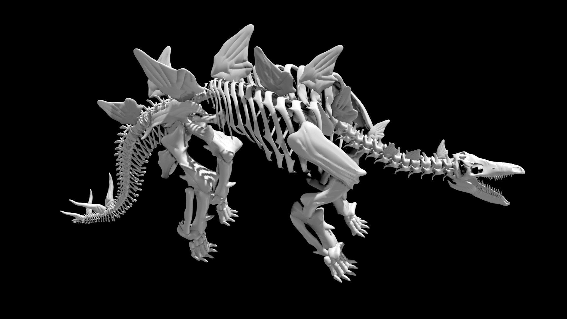 Stegosaurus Skeleton 3D Model - TurboSquid 1885816