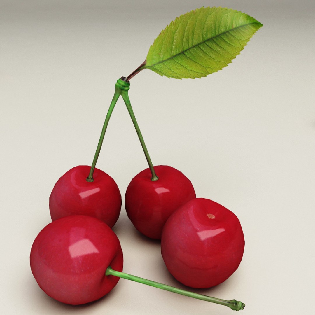 Cherry Modelled 3ds