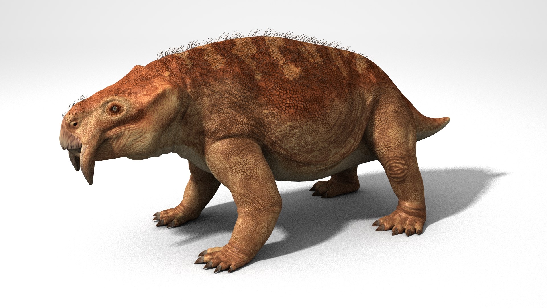 3D Model Placerias - TurboSquid 1869297