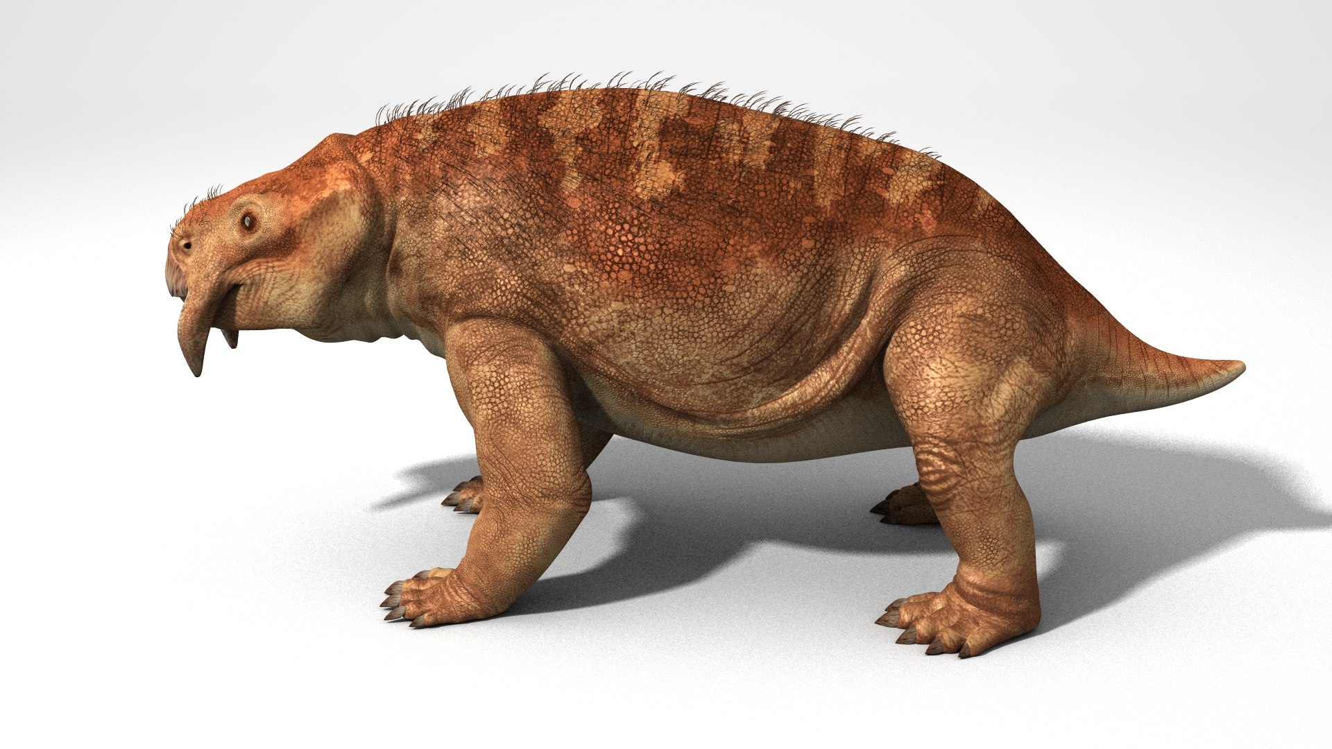 3D Model Placerias - TurboSquid 1869297