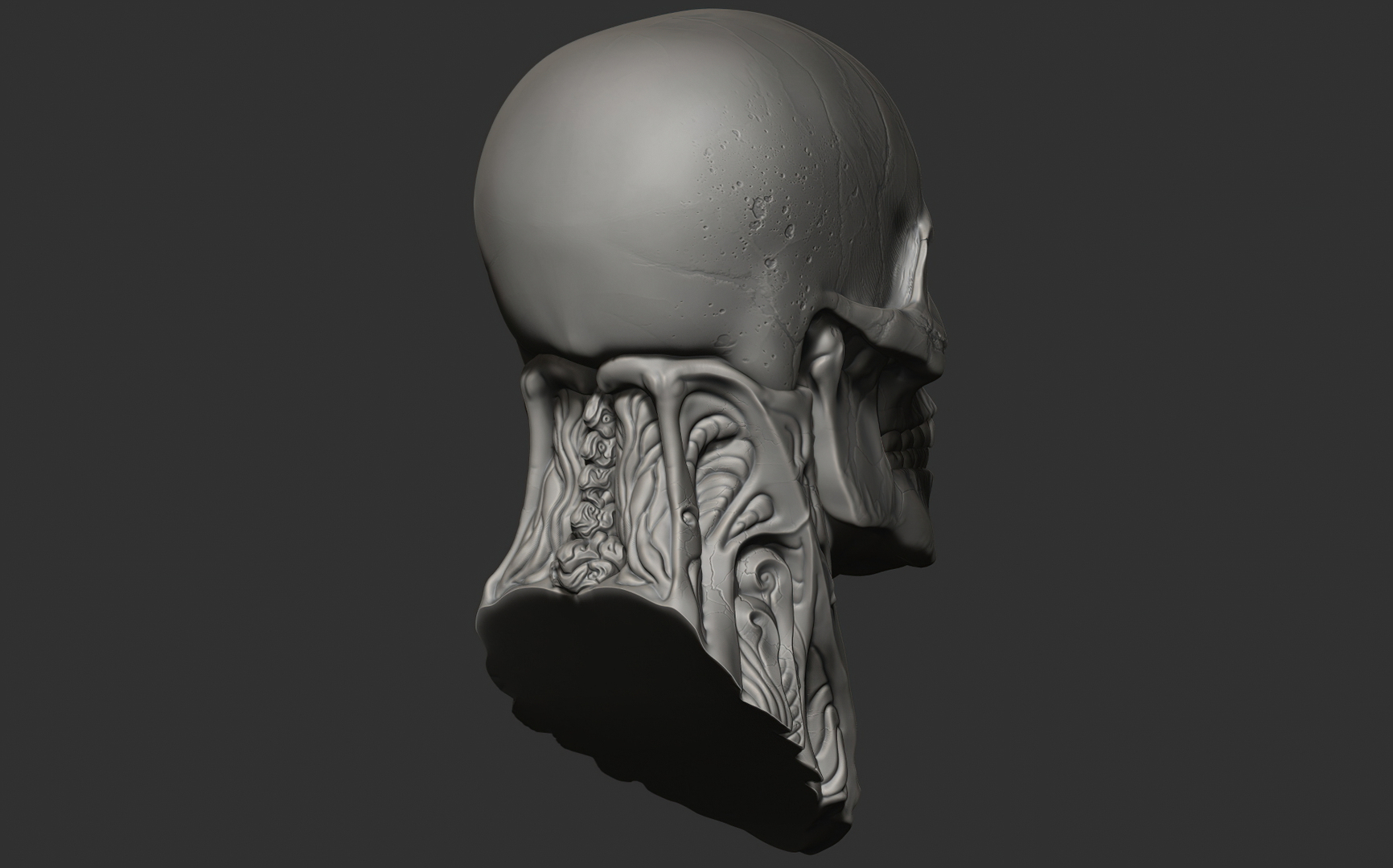modèle 3D de Crâne de caractère biomécanique - TurboSquid 1688707