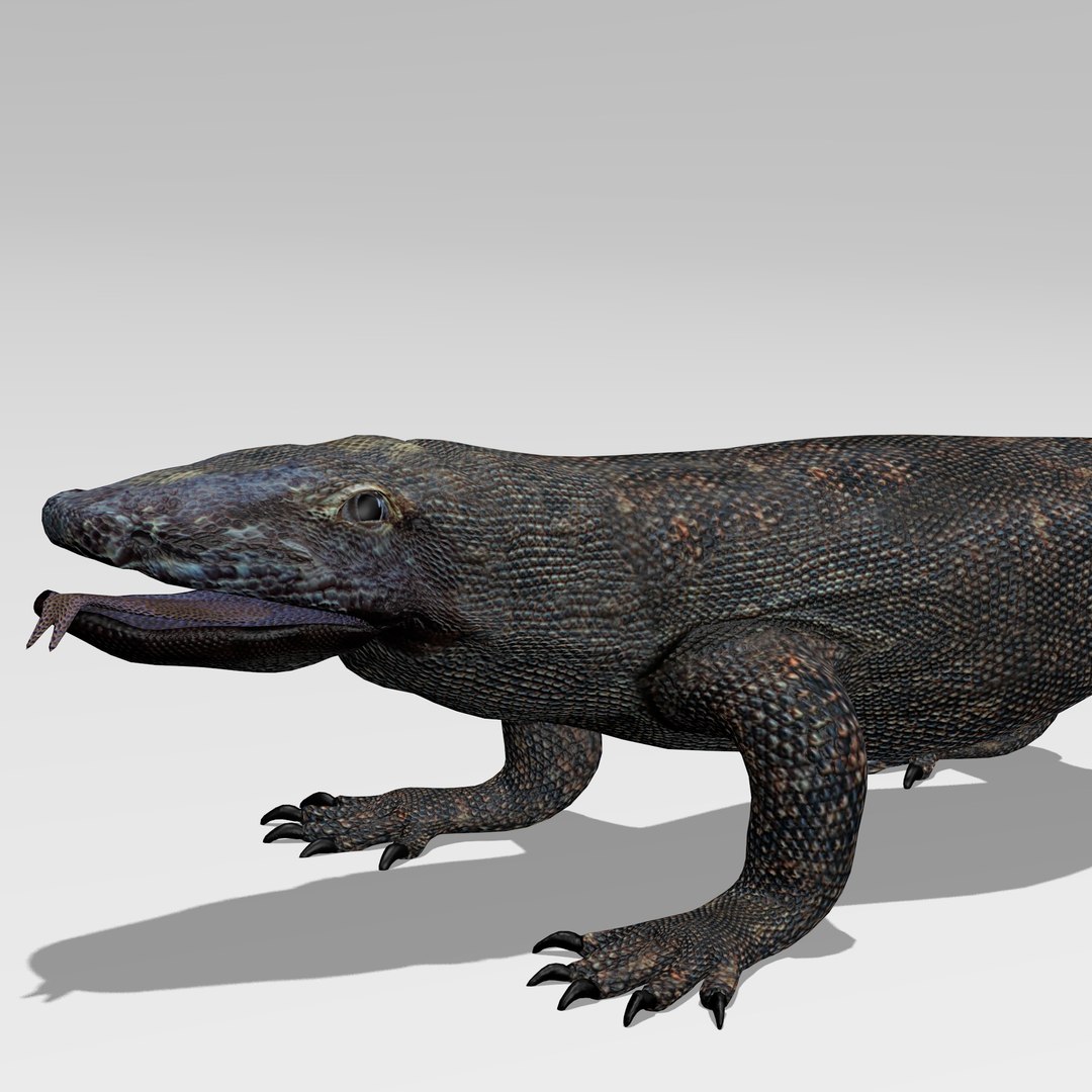 Komodo Dragon 3d Obj