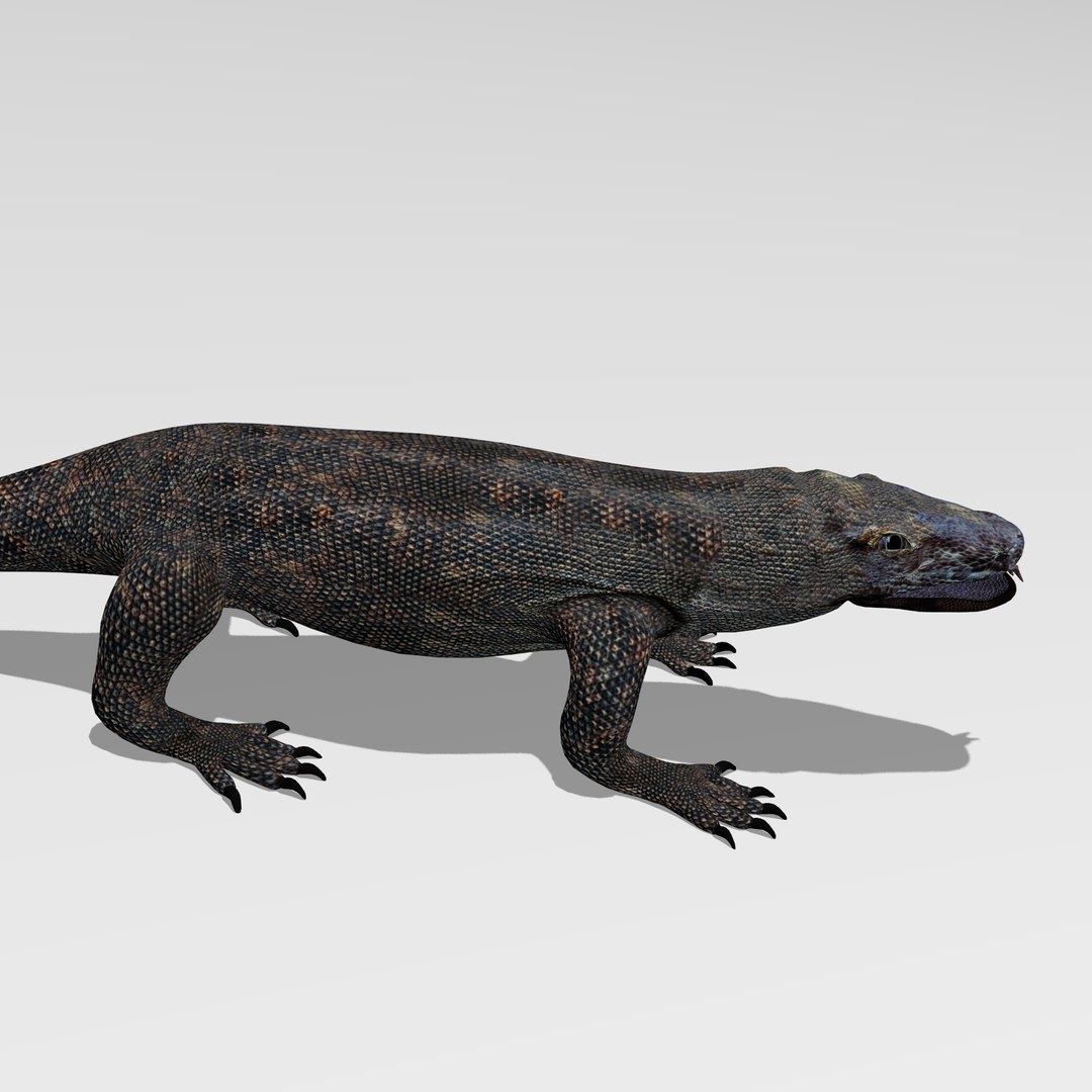 Komodo Dragon 3d Obj