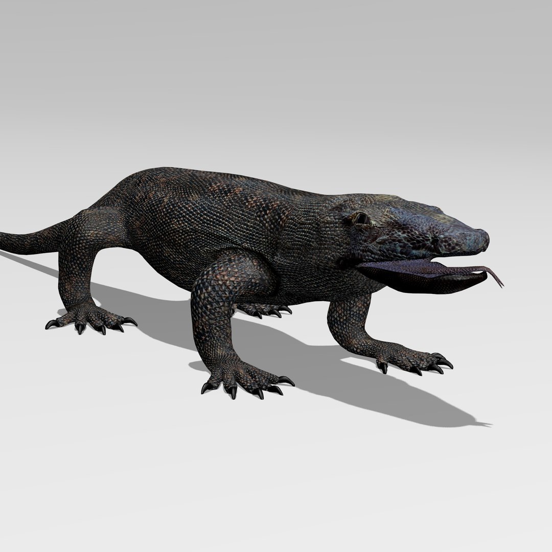 Komodo Dragon 3d Obj
