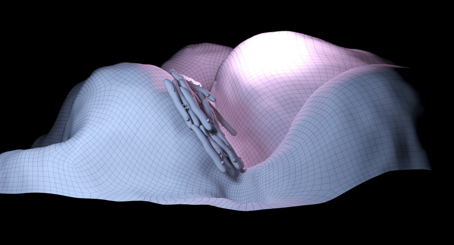 3D Mycobacterium Tuberculosis Model - TurboSquid 1324702