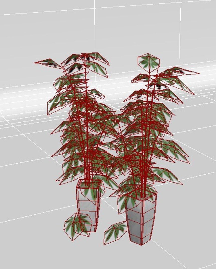 3D Cannabis Plant Model - TurboSquid 1552876