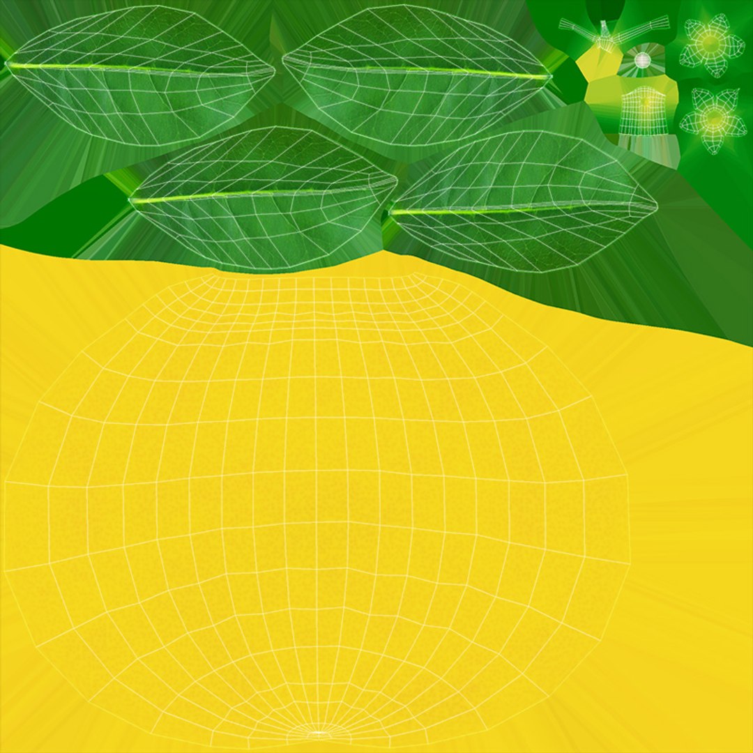 Citrus fruit set 2 3D model - TurboSquid 1316685