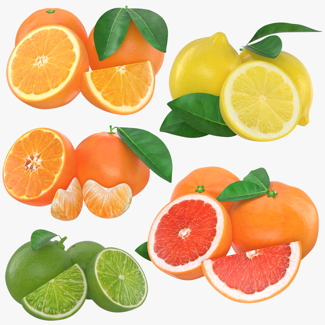 Citrus fruit set 2 3D model - TurboSquid 1316685