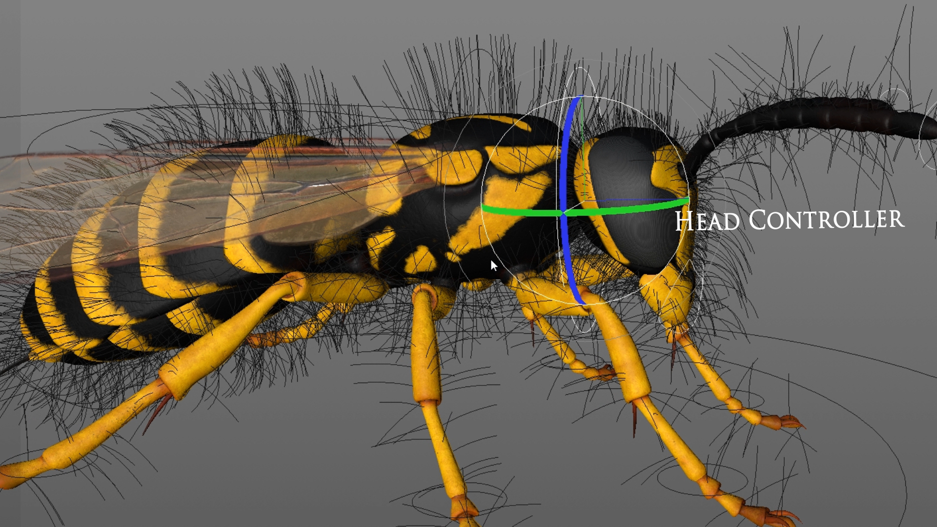 Vespula squamosa rig model - TurboSquid 1247396