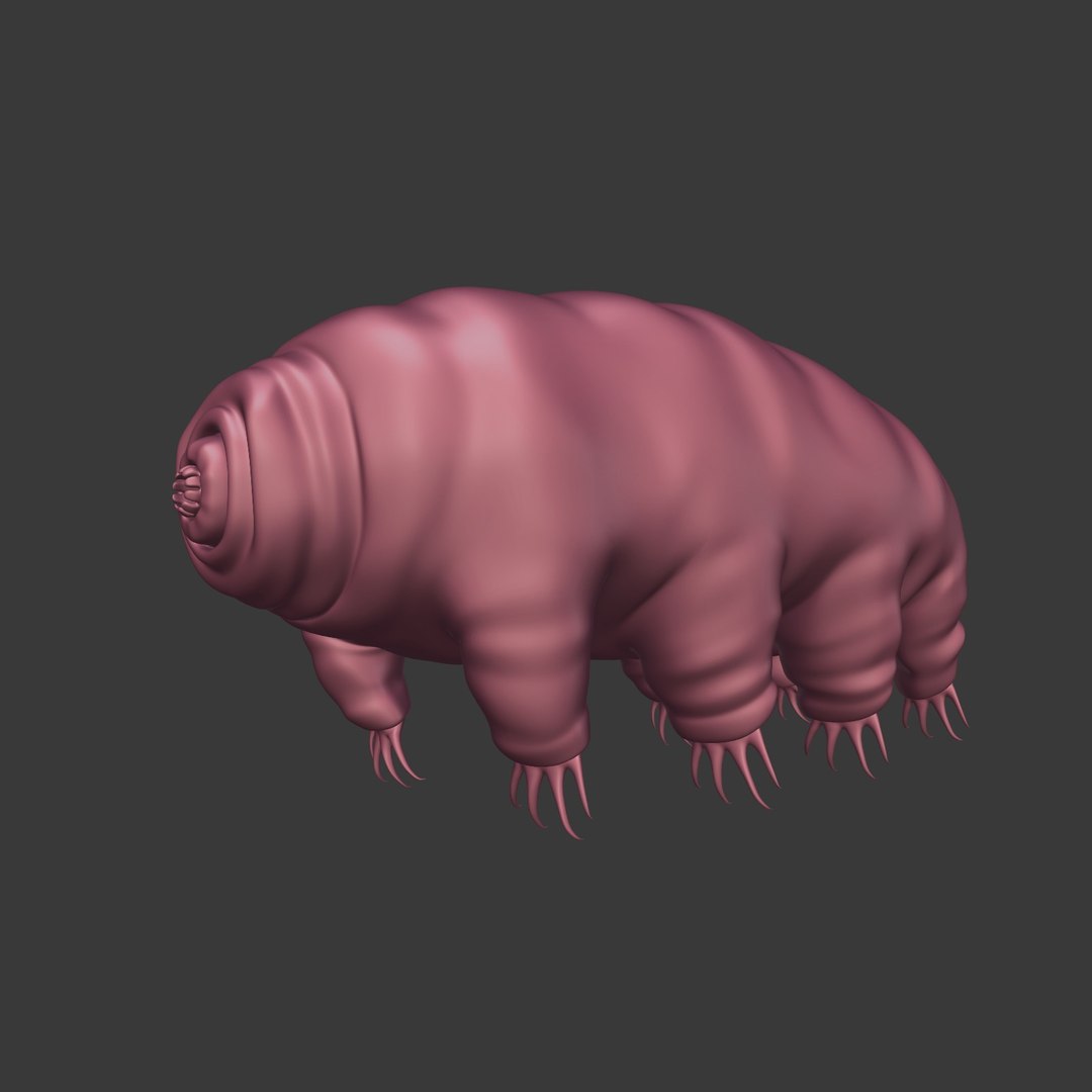 Microscopic bear 3D model - TurboSquid 1421042