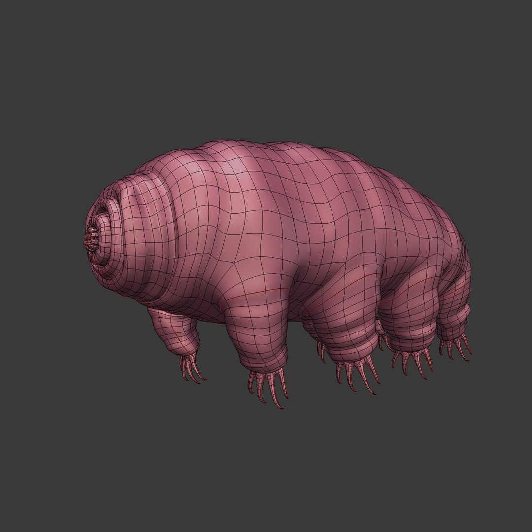 Microscopic bear 3D model - TurboSquid 1421042