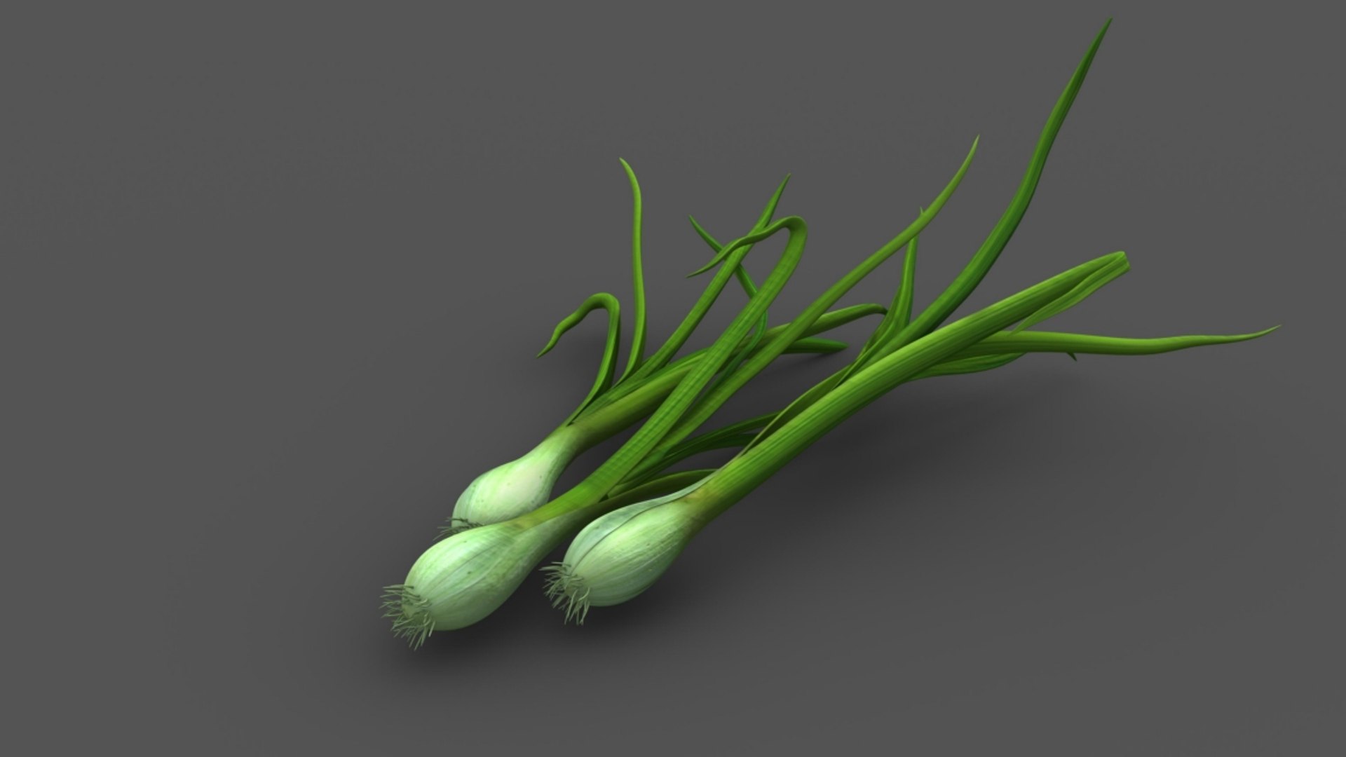 Scallions Leaves 3D Model - TurboSquid 1261515