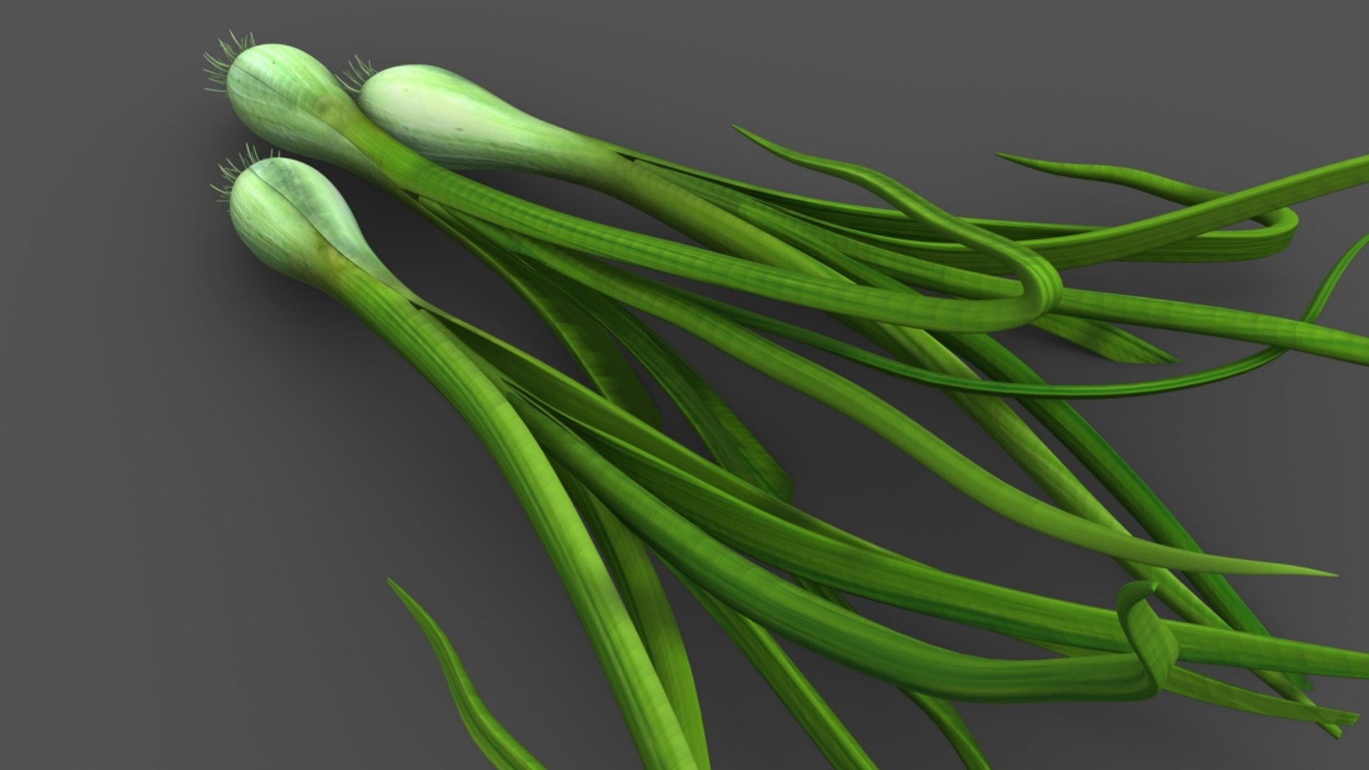 Scallions Leaves 3D Model - TurboSquid 1261515