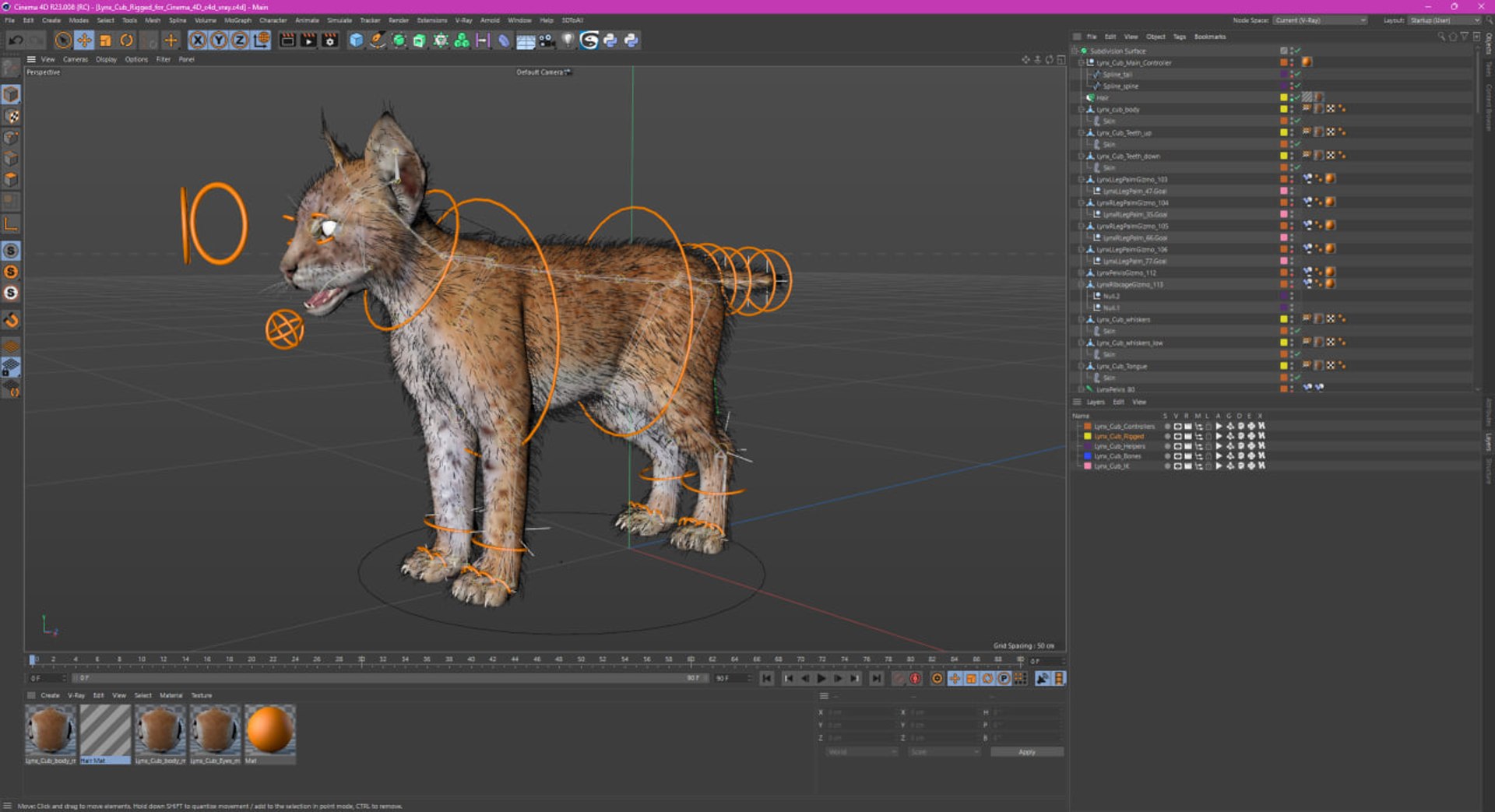 Lynx Cub Fur For Cinema 4D Rigged 3D Model - TurboSquid 2407472