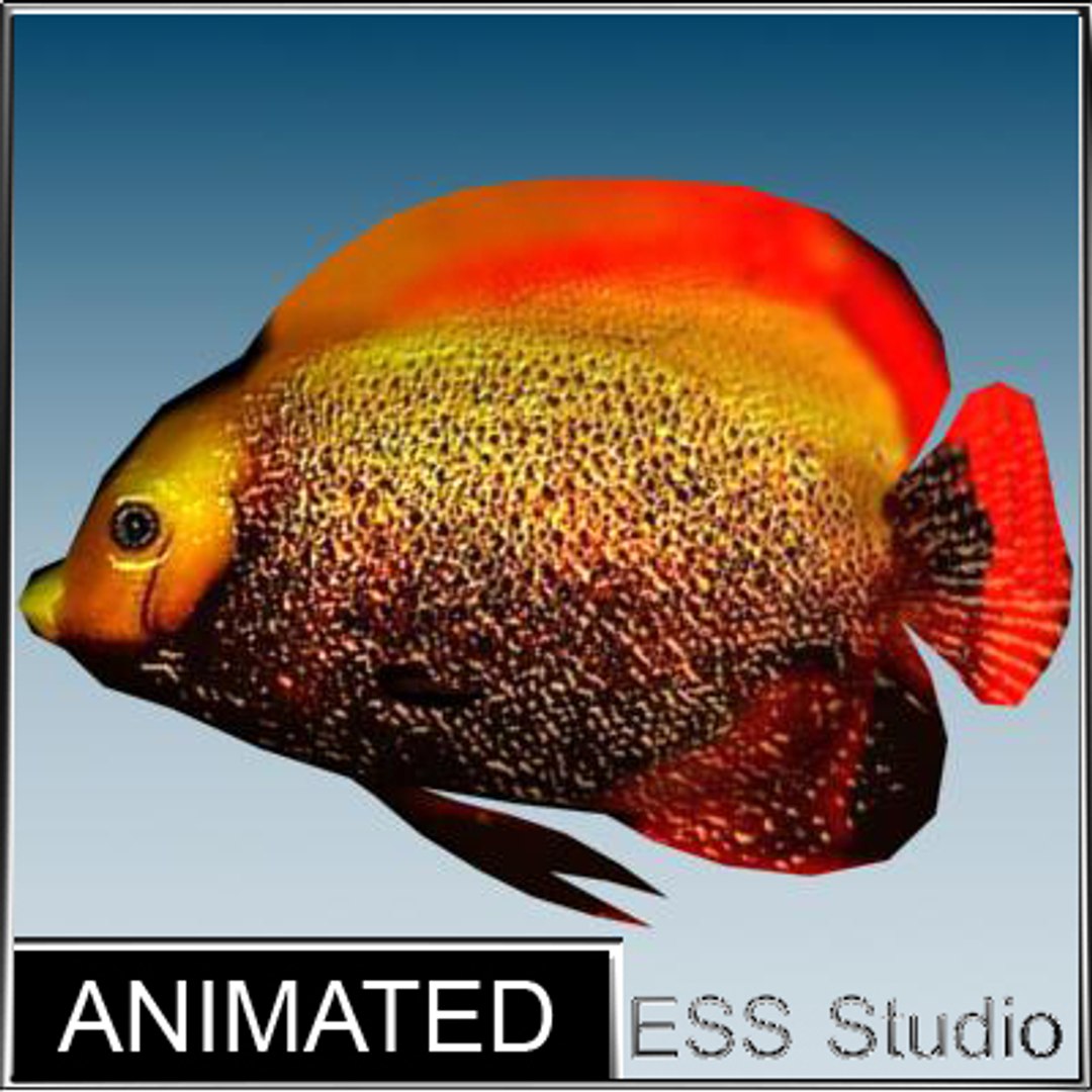 tropical fish 3d max