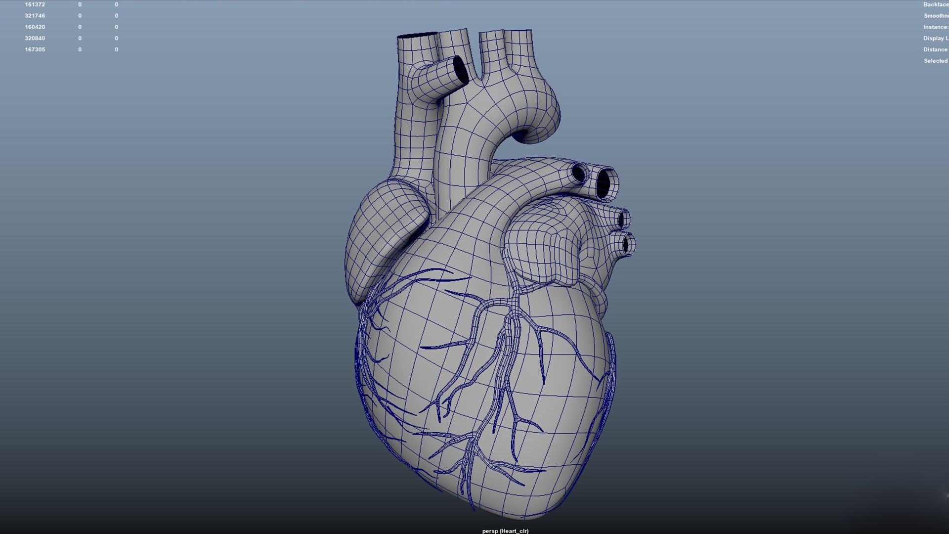 Human Heart 3D Model - TurboSquid 1863120