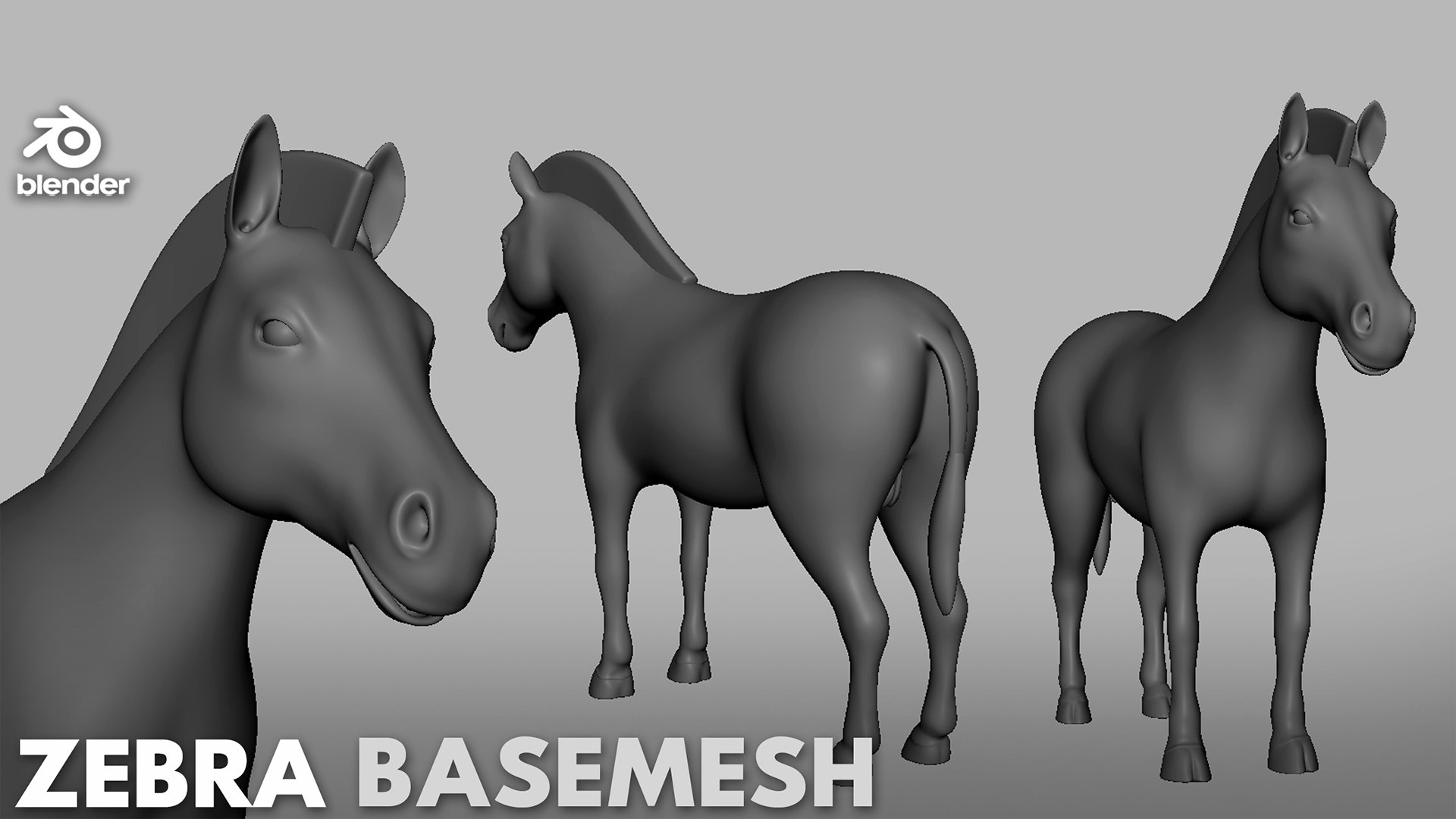 Zebra Basemesh 3D Model - TurboSquid 2238215