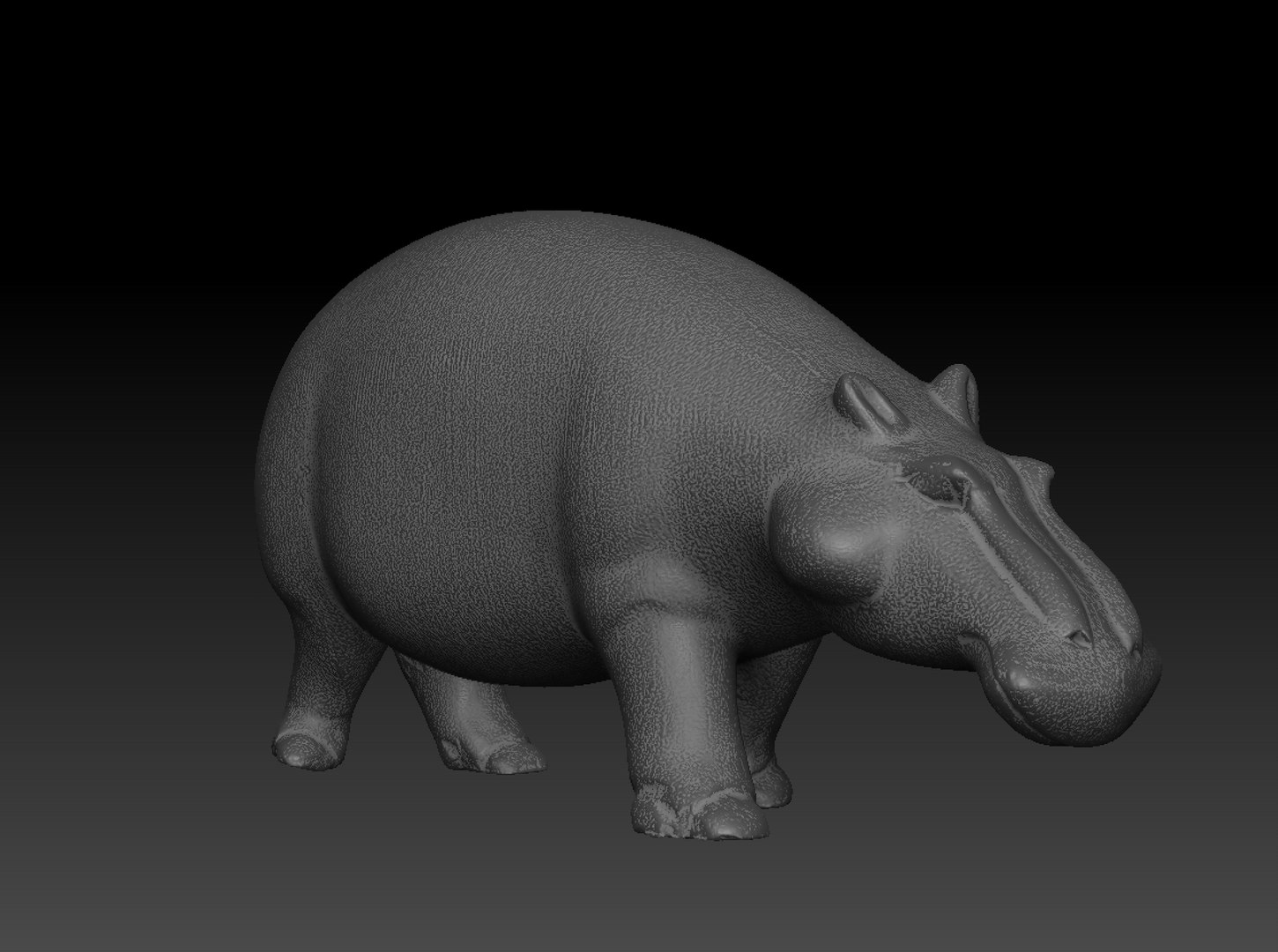 Hippo 3D Model - TurboSquid 1415584