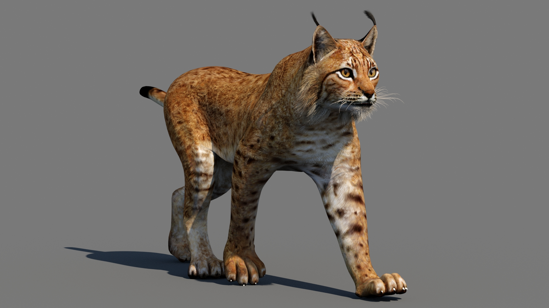 3ds Lynx Eurasian Rigging Animation
