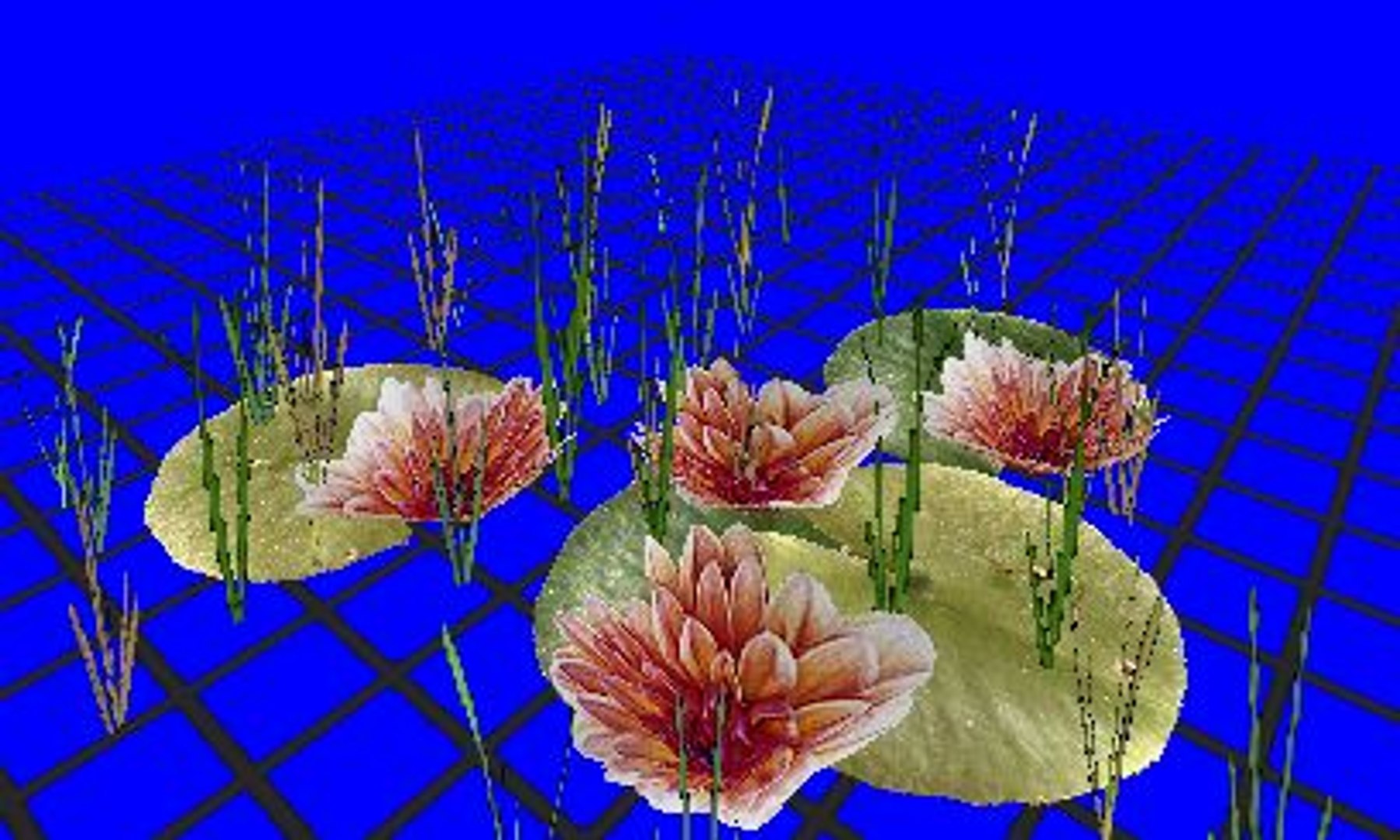 lilly lillypad 3d model
