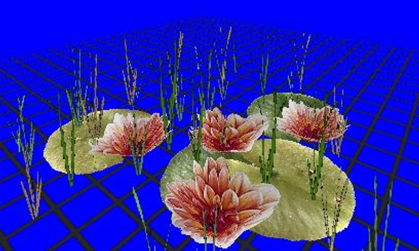 lilly lillypad 3d model