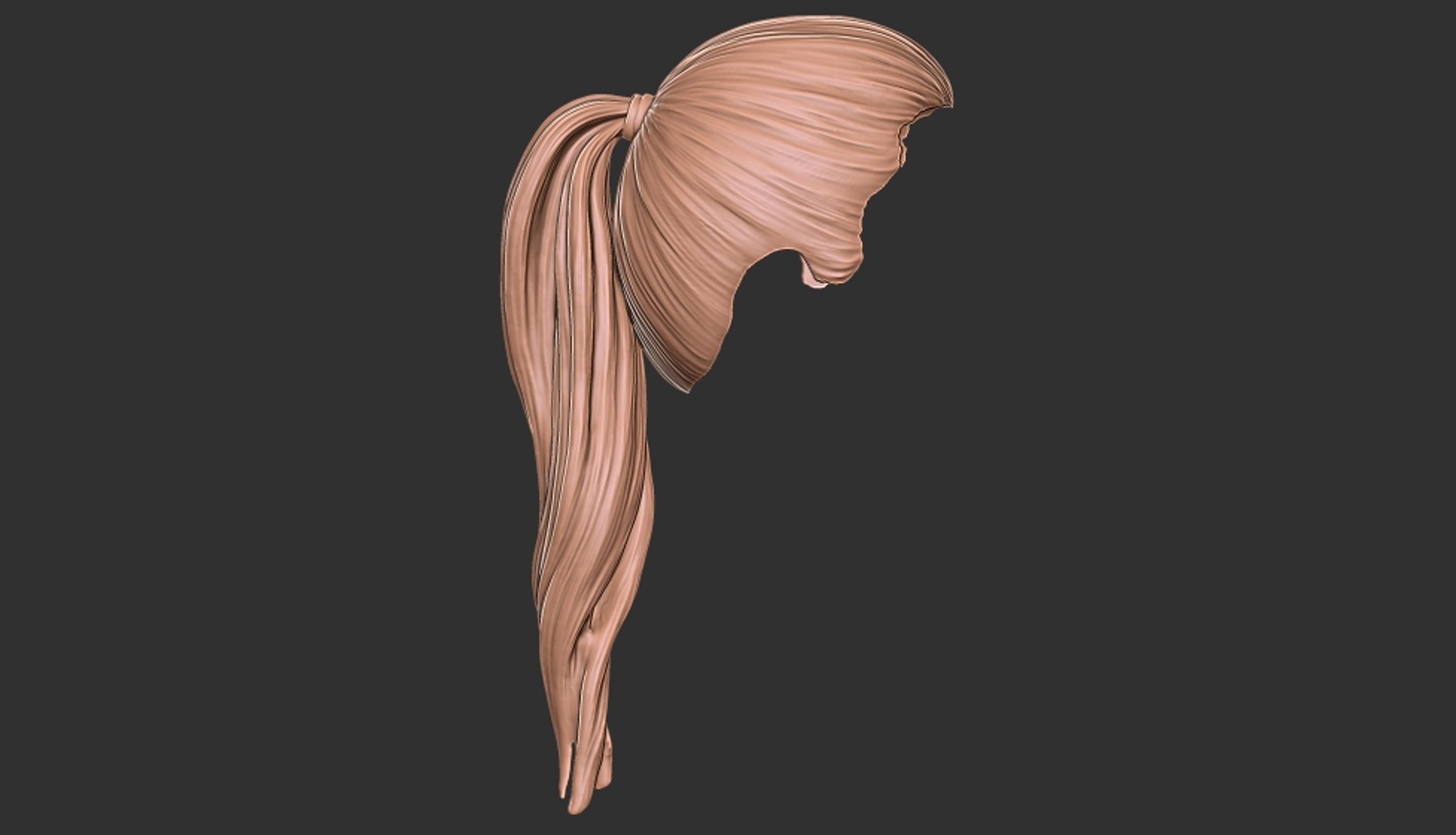 3D Model Hair 32 - TurboSquid 1848570