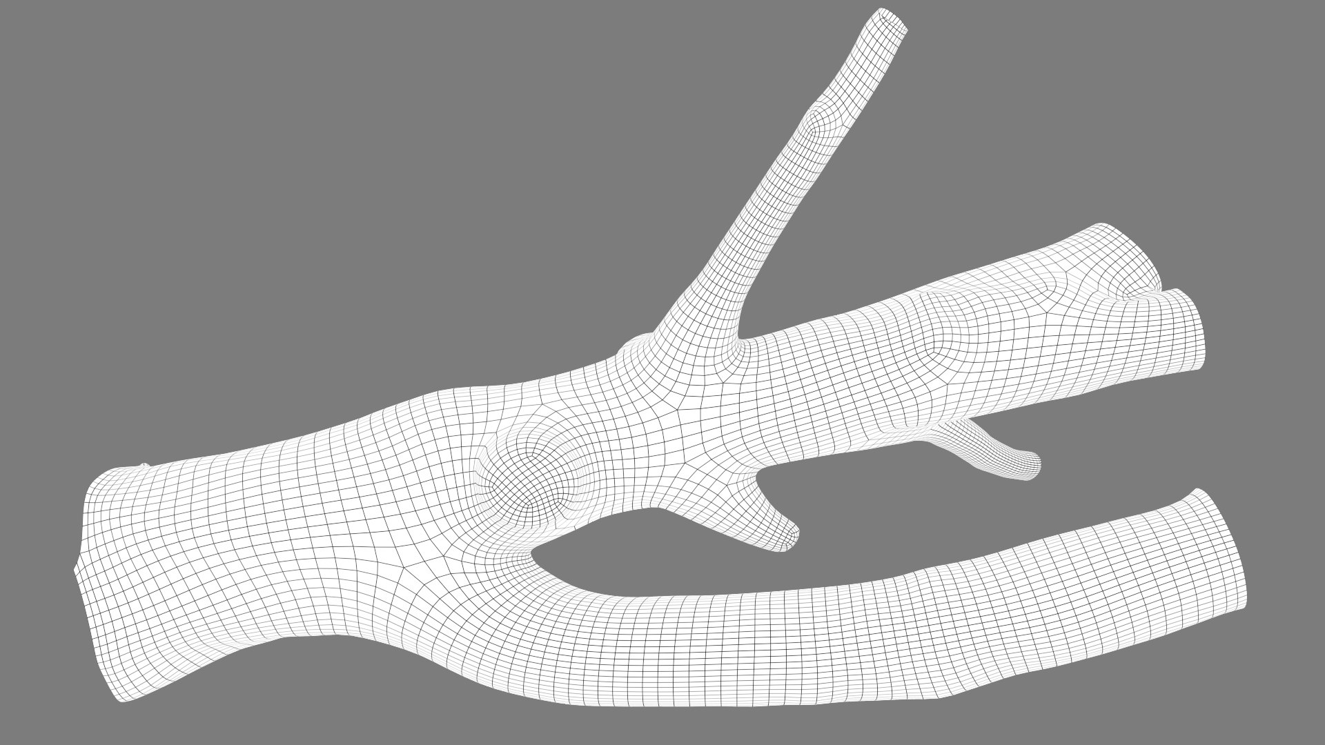 3D Scanned Tree Trunk 03 Model - TurboSquid 2113792