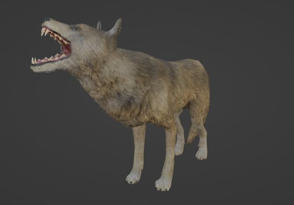 3D Wolf Animated - TurboSquid 2002119