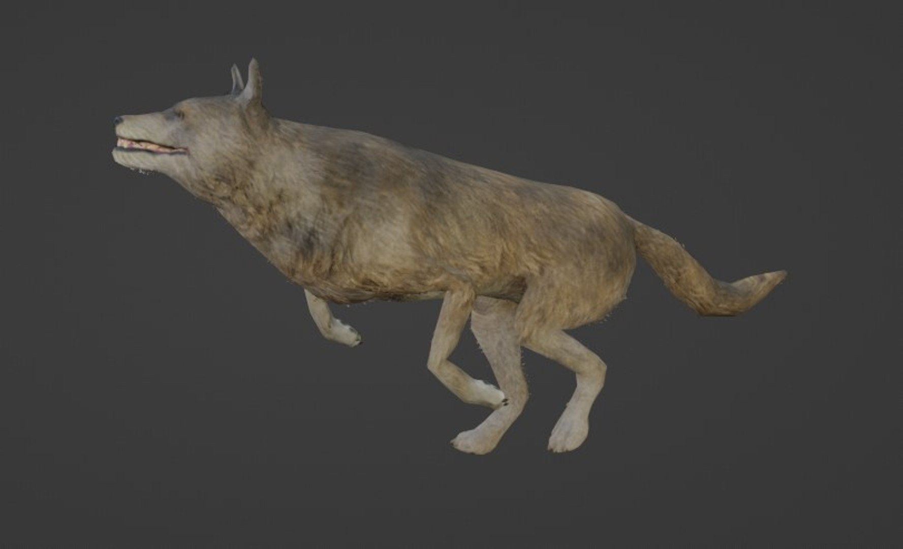 3D Wolf Animated - TurboSquid 2002119
