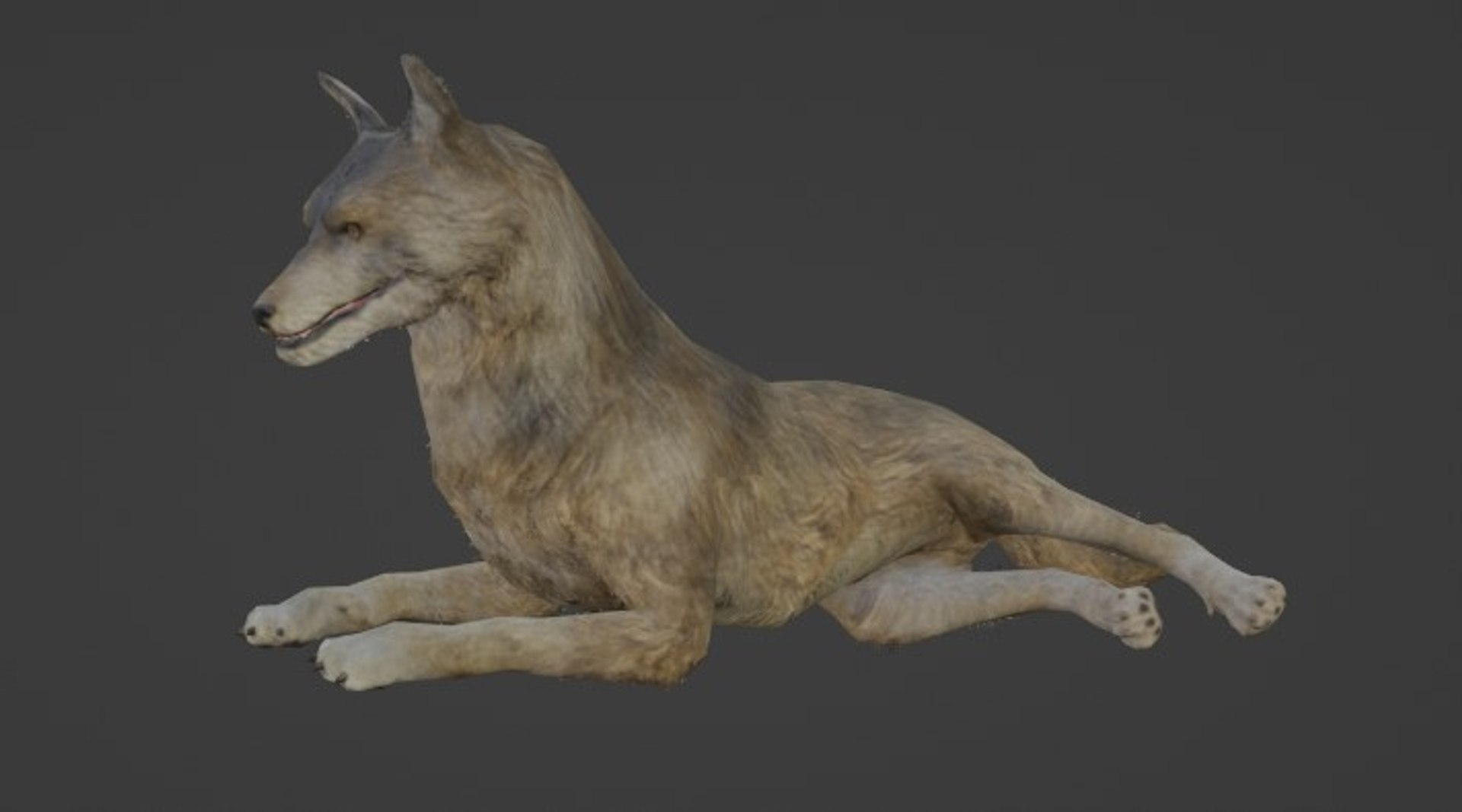 3D Wolf Animated - TurboSquid 2002119