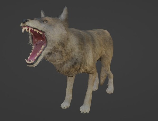 3D Wolf Animated - TurboSquid 2002119