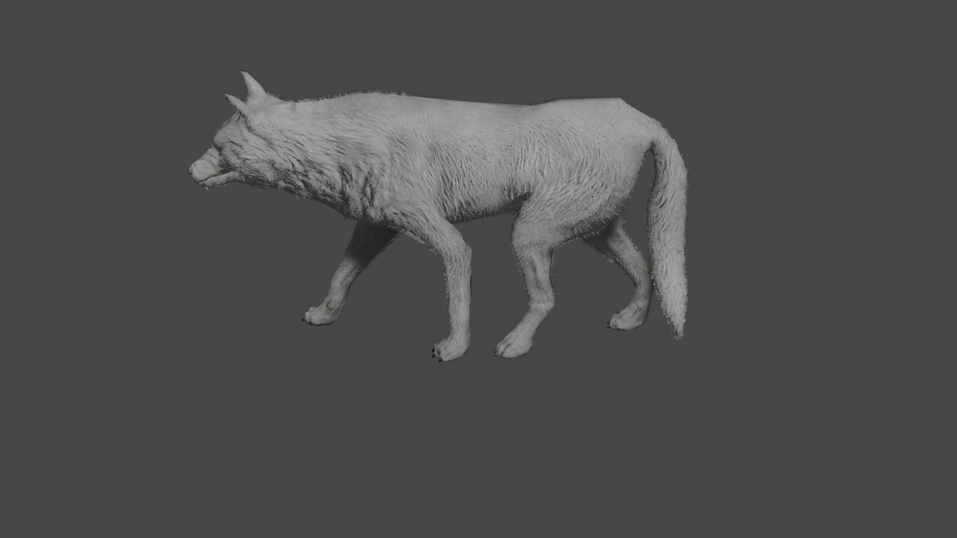 3D Wolf Animated - TurboSquid 2002119